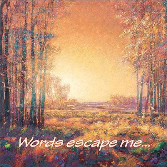 Ger Stallenberg, Words escape me. Set van 6 wenskaarten. | bol.com