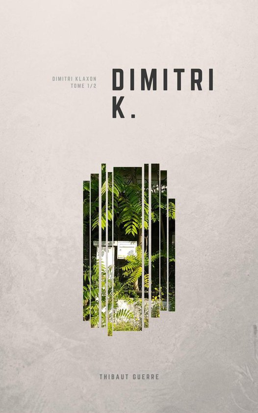 Dimitri K. (ebook), Thibaut Guerre | 1230003823699 | Boeken | bol.com