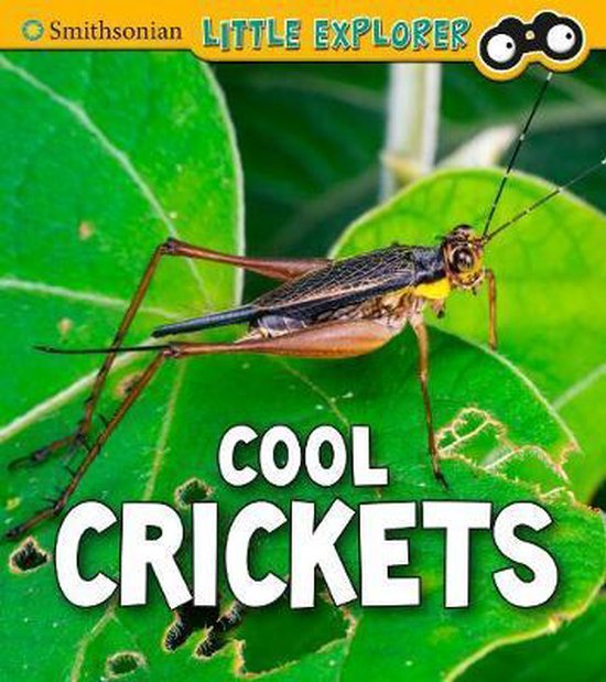Cool Crickets Insect Explorer | 9781474794596 | Megan Cooley Peterson ...