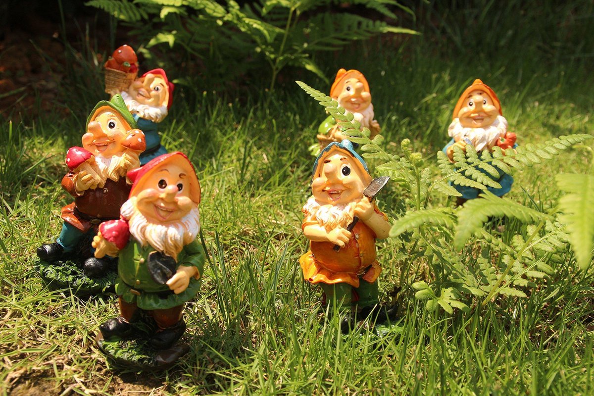 Tuinkabouter set- 7 dwergen | bol.com