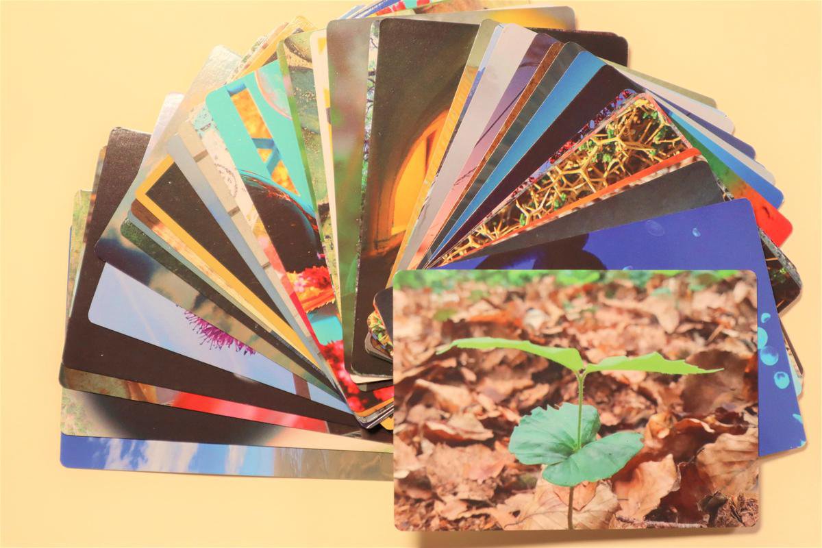 Foto en Quote Kaartenset - Coachkaarten of Trainingskaarten - Geschikt ...