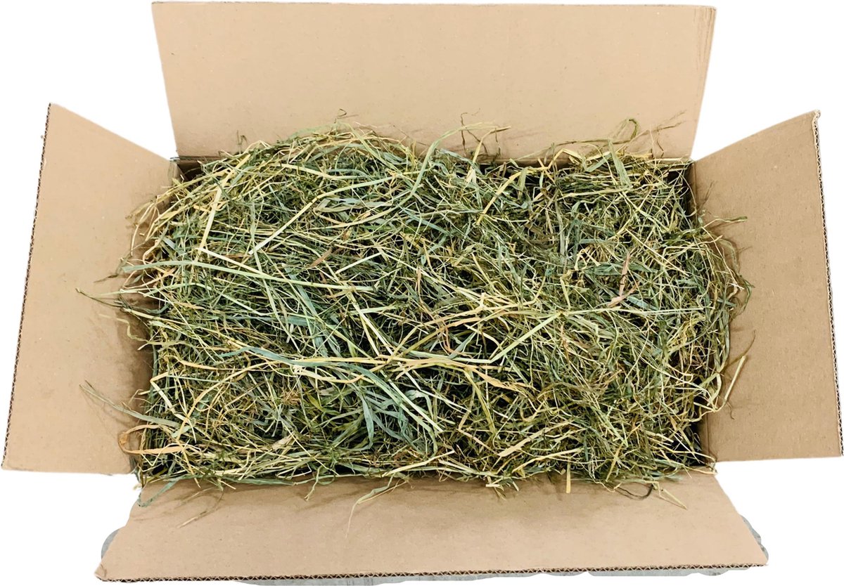 Hooi | altijd vers verpakt | Lange Gevarieerde Sprieten | 4kg ...
