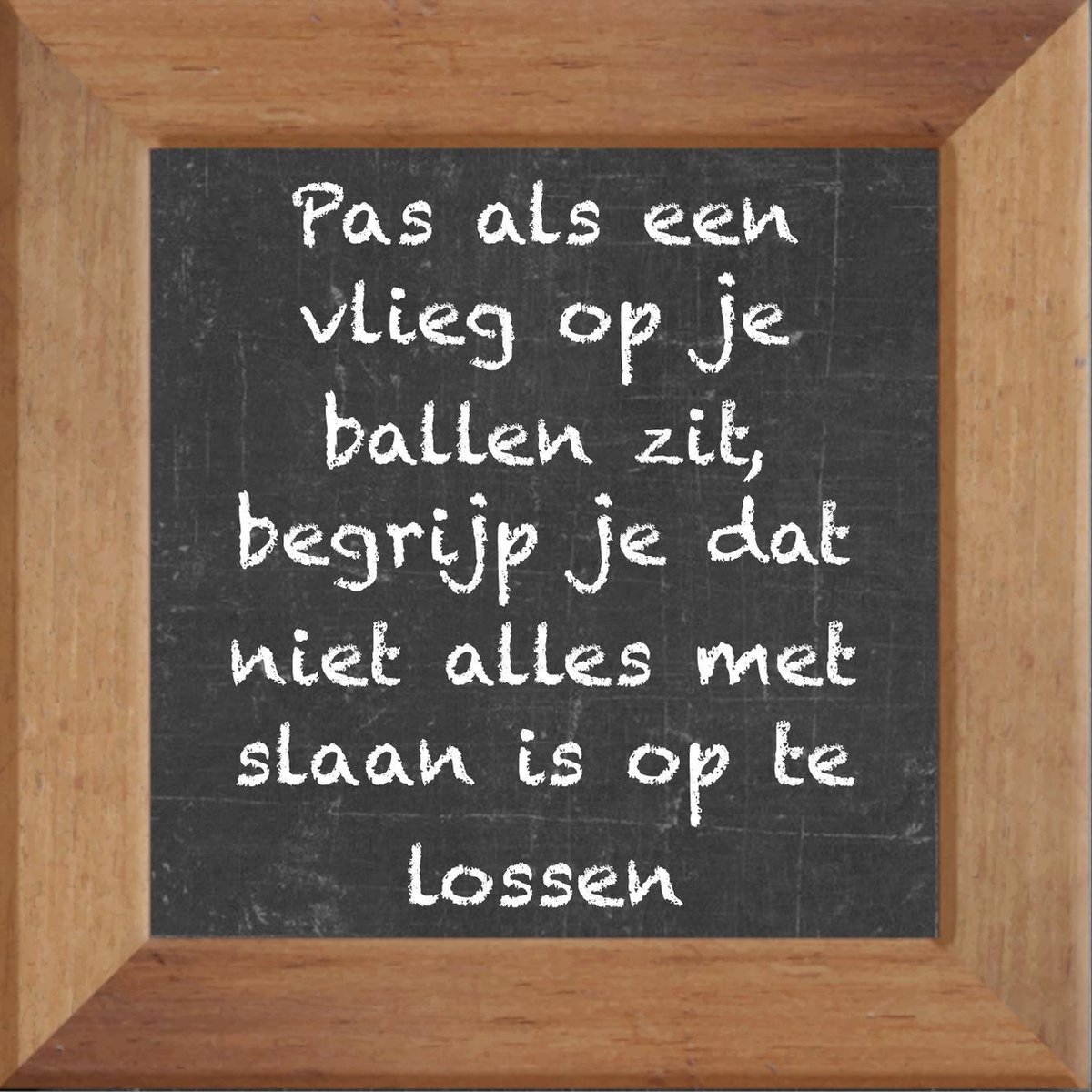 Wijsheden op krijtbord tegel over Dieren met spreuk :Pas als een vlieg ...