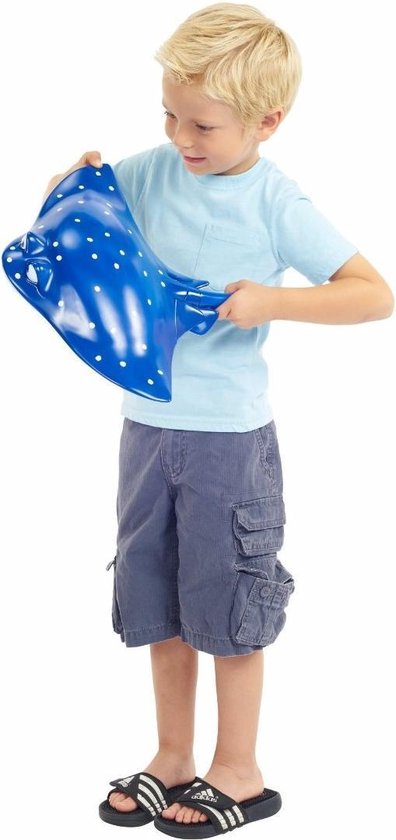 Finding Dory Mr. Ray 3-in-1 | bol.com