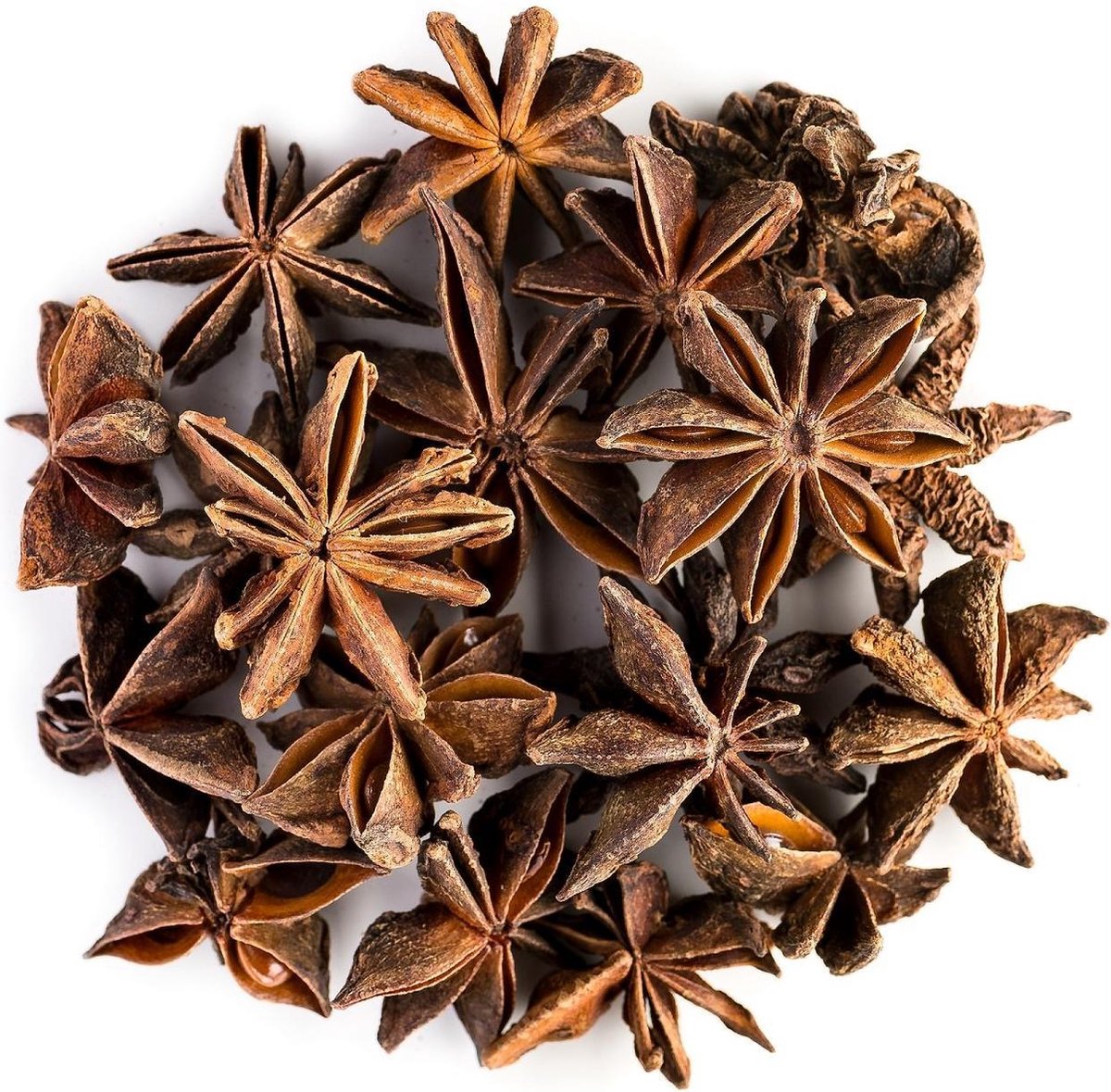 Steranijs Zaad Bio - Perfect Om Te Koken - Badiam Staranise Of Illicium ...