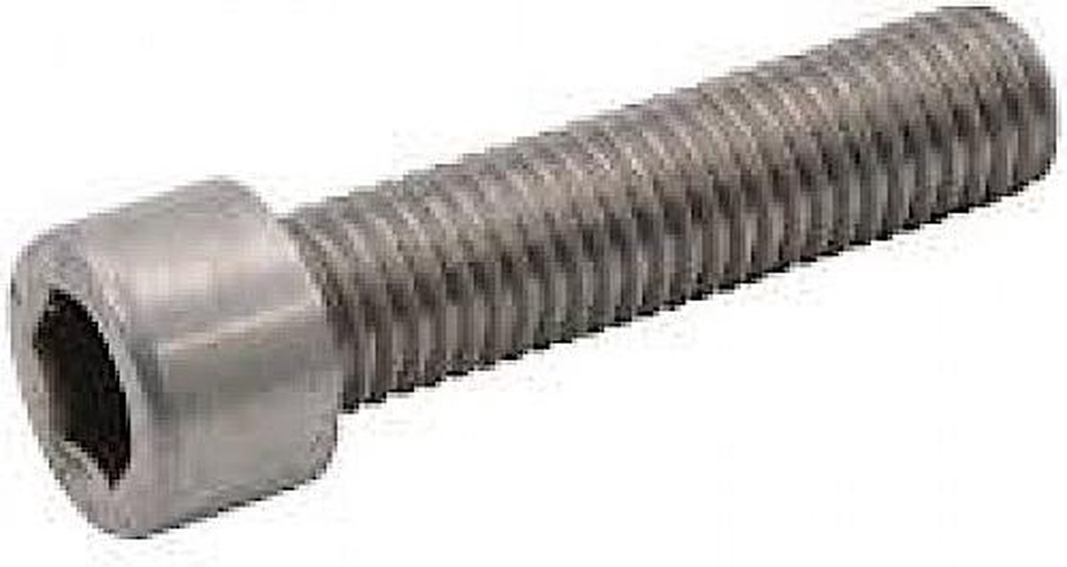 Bls Inbusbout M6 X 85 Mm Rvs Zilver 25 Stuks | bol