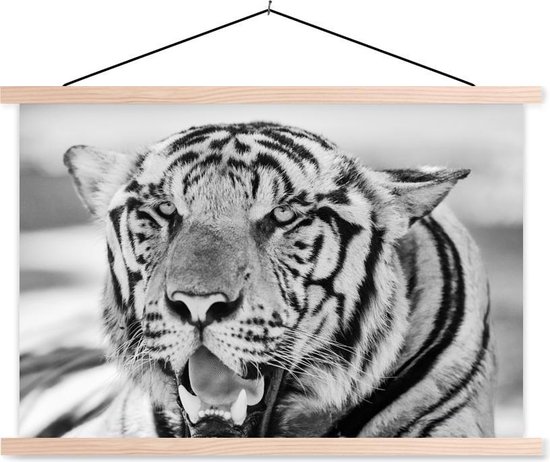 Profil animalier Tigre du Bengale en affiche textielposter noir et ...