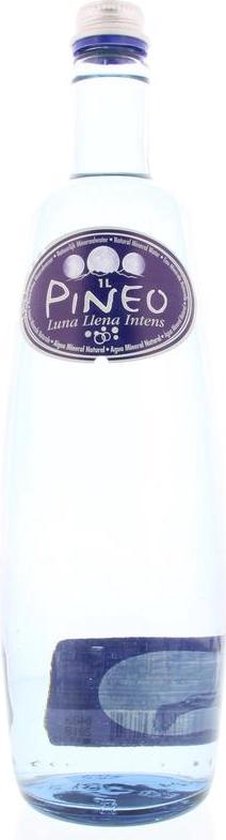 Pineo Luna llena intens mineraalwater met koolzuurgas 1 liter | bol.com