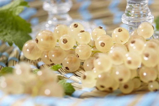 100%FRUIT 5x Gele vruchten mix - pakket voor een strekkende meter fruit ...