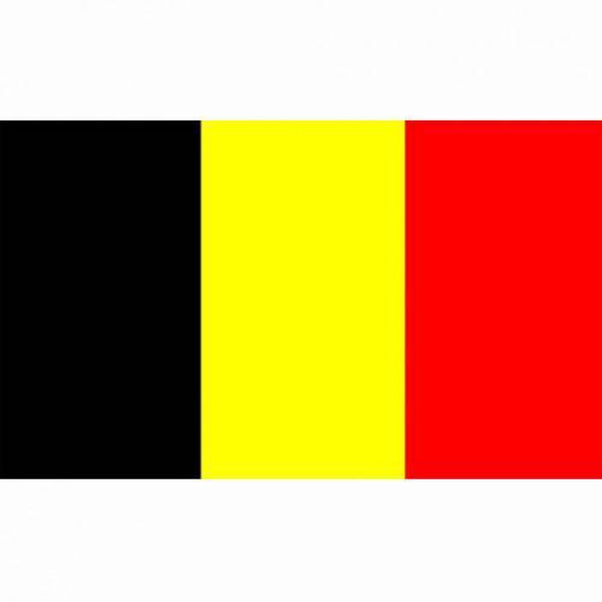 vlag Belgie, Belgische vlag | bol.com