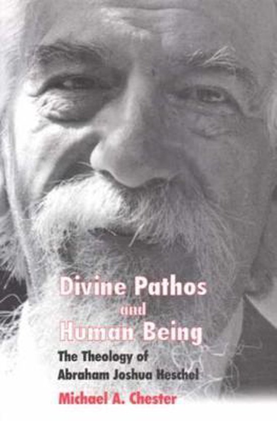 Divine Pathos and Human Being: The Theology of Abraham Joshua Heschel ...