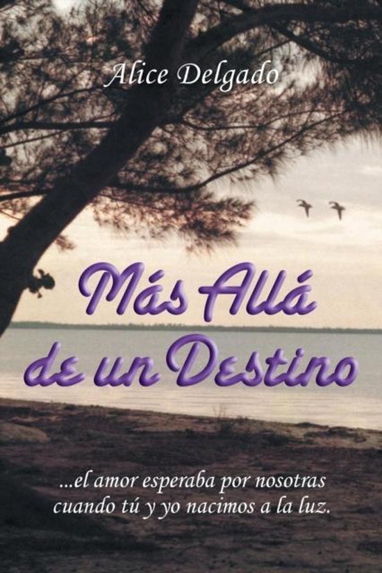 Mas alla de un destino, Alice Delgado | 9781463394844 | Boeken | bol.com