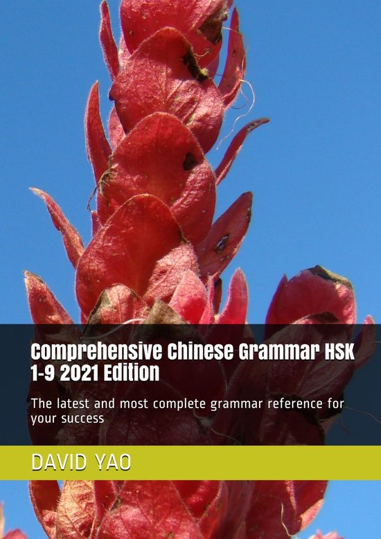 Chinese Grammar - Comprehensive Chinese Grammar HSK 1-9 2021 Edition ...
