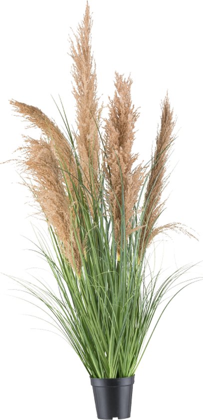 Goodplants Riet kunst siergras - 110cm - Kunstplanten voor binnen ...