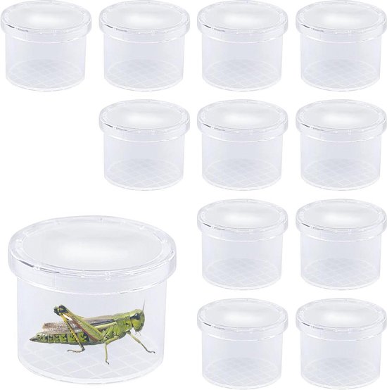 12 Stks Insect Container Bug Viewer - Vergrootglas voor Kinderen ...