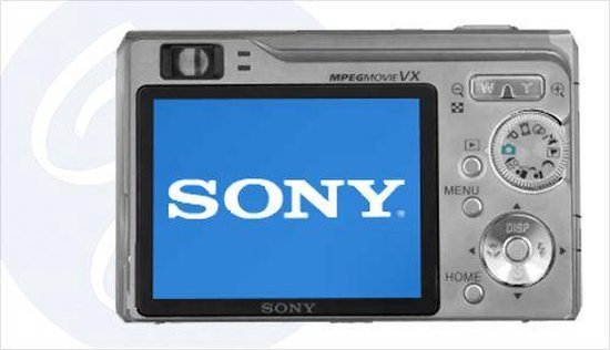 Sony Cybershot DSC-W80 - Stijlvolle Zilveren Camera | bol