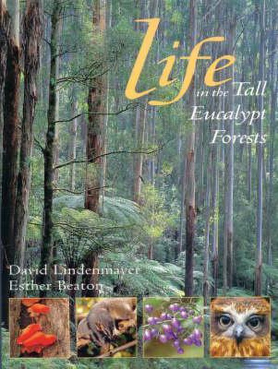 Life in the Tall Eucalypt Forests, David Lindenmayer | 9781876334529 ...