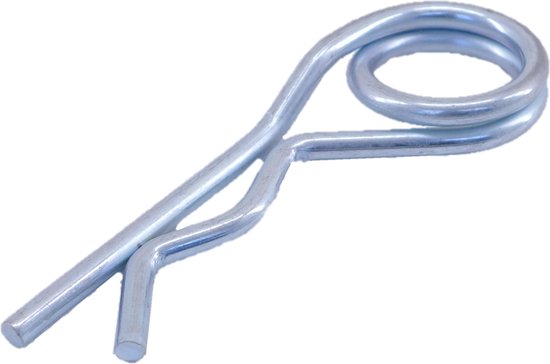 Borgveer 100*5 mm 10 stuks | bol