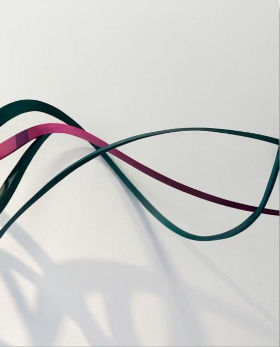 Shirazeh Houshiary, Greg Hilty | 9780947830342 | Boeken | bol