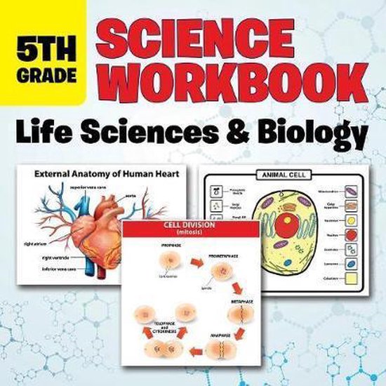 5th Grade Science Workbook, Baby Professor | 9781682601631 | Boeken ...
