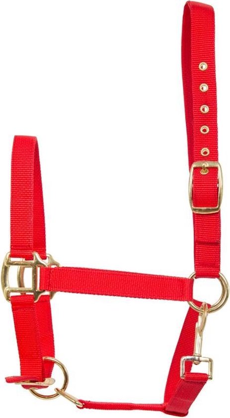 Imperial Riding Nylon halster met gespsluiting - Rood - Pony | bol.com Imperial Riding Nylon halster met gespsluiting - Rood - Pony | bol.com