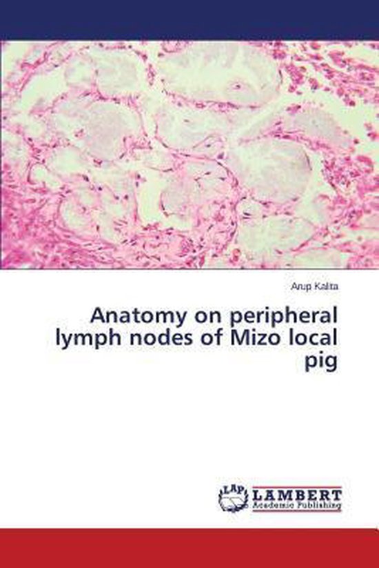 Anatomy on Peripheral Lymph Nodes of Mizo Local Pig, Kalita Arup ...