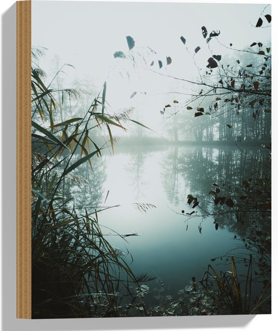 Hout - Takken en Struiken voor Mist boven Meer in Bos - 30x40 cm - 9 mm ...