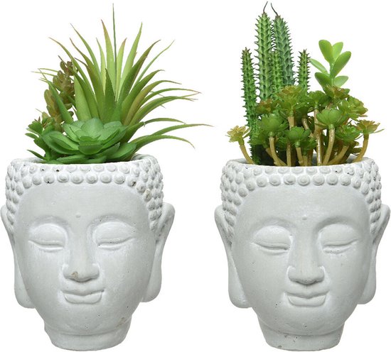 Decoratieve plant Keramisch PVC Vetplant | bol.com