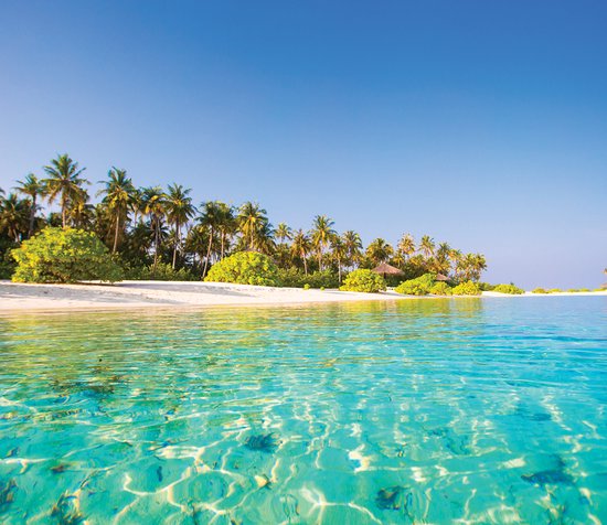 Inductieplaat Beschermer - Helderblauw Zeewater langs Eiland met ...