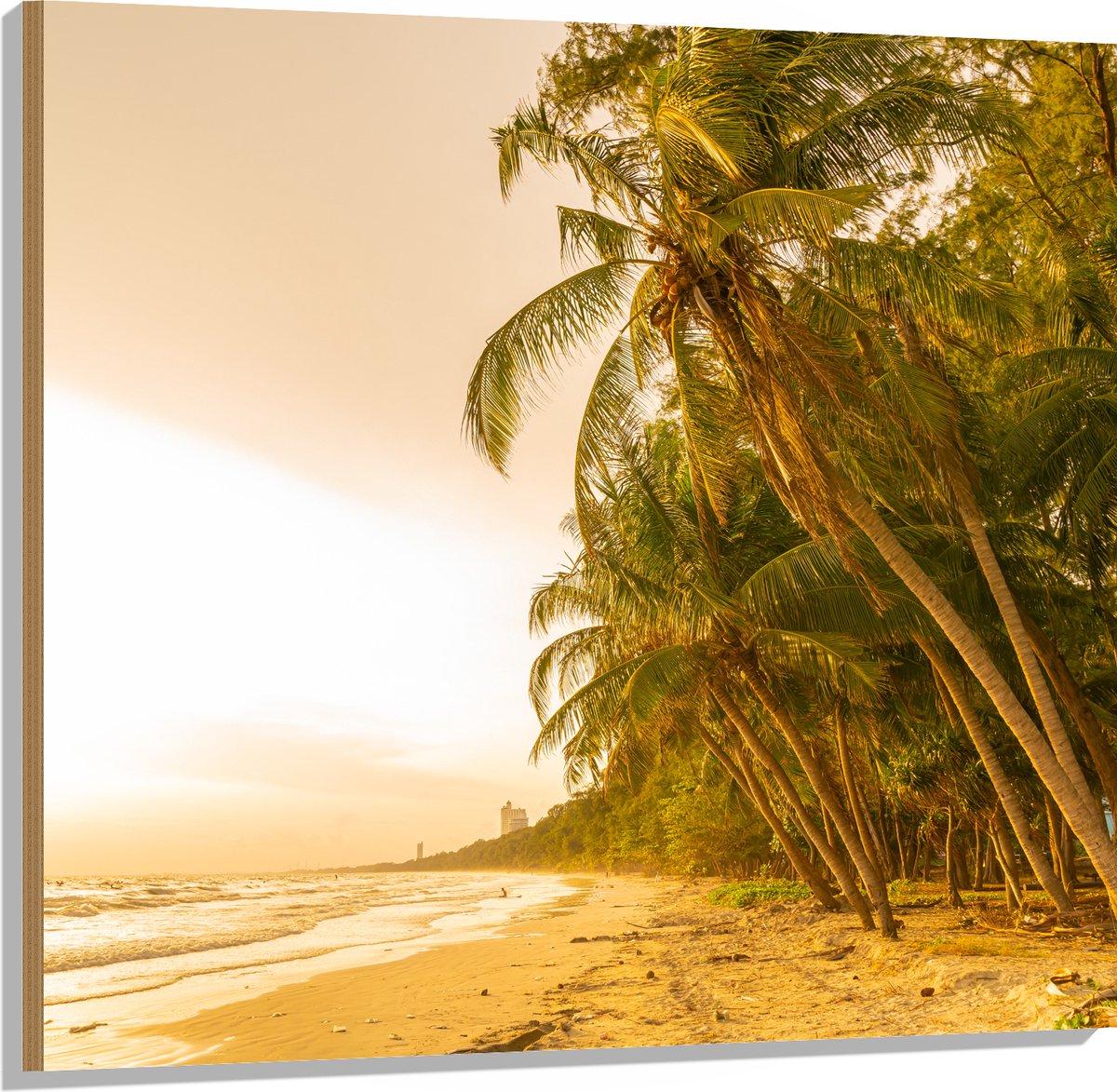 Hout - Kokosnoot Palmbomen aan het Strand tijdens Felle Zonsopkomst ...