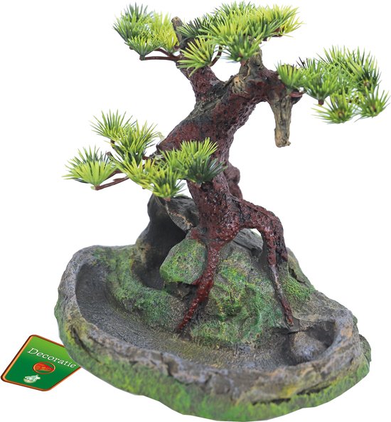 Bonsai Boom Op Rots - 17.5 cm | bol