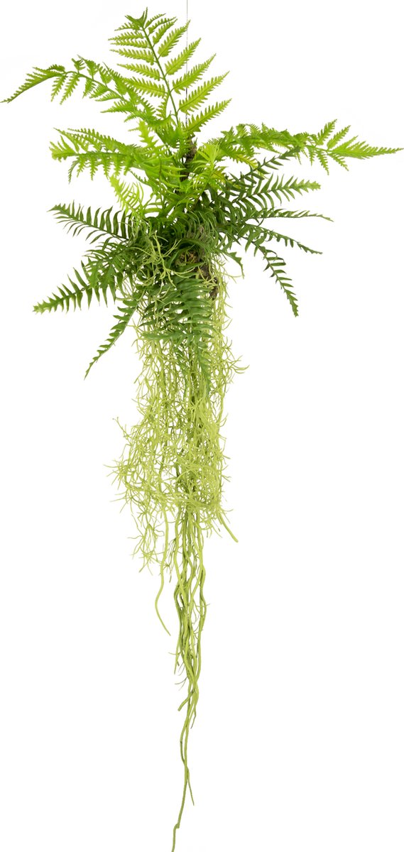 Greenmoods Kunstplanten - Kunstplanten - Kunst hangplant Varen met ... Greenmoods Kunstplanten - Kunstplanten - Kunst hangplant Varen met ...