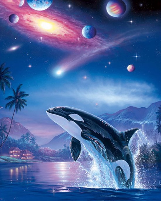 DIAMOND PAINTING Orca (30 X 40 CM) | bol.com