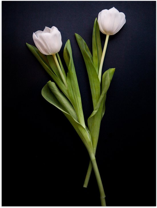 WallClassics - Poster (Mat) - Roze Rozen Bloemenduo - 30x40 cm Foto op ...