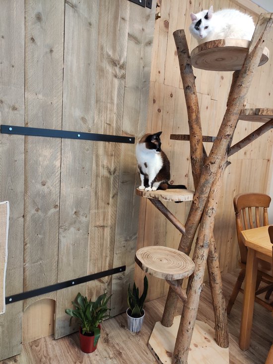 Catsy Krabpaal - Voor katten, grote katten - Buiten - Houtkleur - 75 x ...