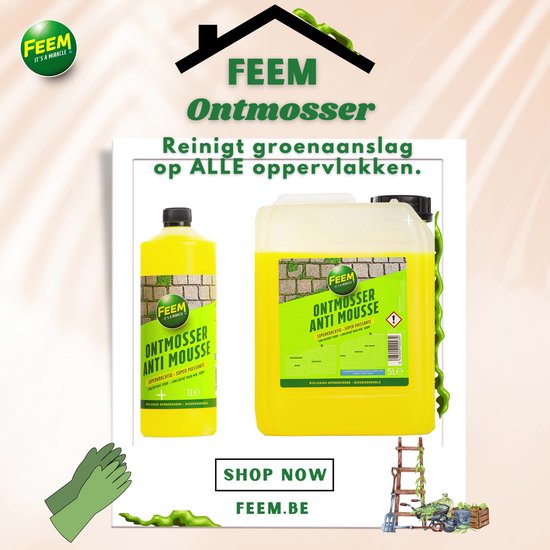 Feem Ontmosser - Groene aanslagverwijderaar-1 Liter -biologisch ...
