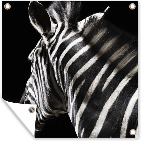 Tuin poster Zebra - Dier - Wit - 200x200 cm - Tuindoek - Buitenposter | bol