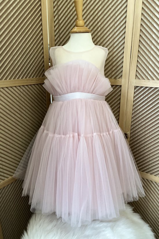 luxe feestjurk-barbie dress-roze tule jurk-tutu jurk-communie... | bol.com