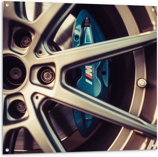 WallClassics - Tuinposter – Blauwe Remklauwen in Autowiel - 100x100 cm ...