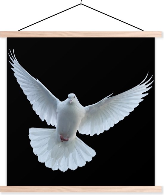 Posterhanger incl. Poster 60x60 cm - Schoolplaat - Duif - Vogel - Zwart - Wit -... | bol