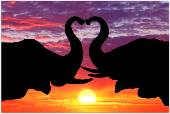 Poster (Mat) - Silhouet van Koppel Olifanten met Hartvormige Slurfen ...