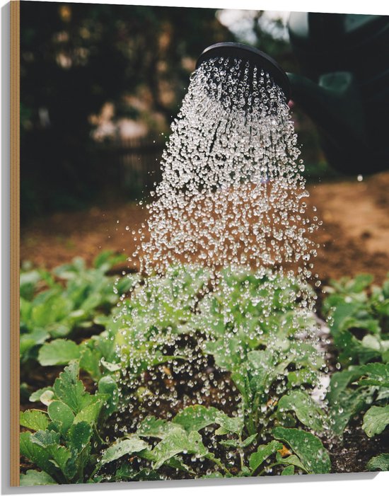 Hout - Planten Water Geven met Gieter - 75x100 cm - 9 mm dik - Foto op ...