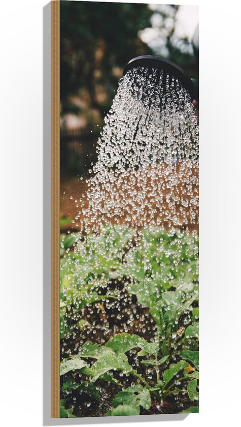 Hout - Planten Water Geven met Gieter - 30x90 cm - 9 mm dik - Foto op ...