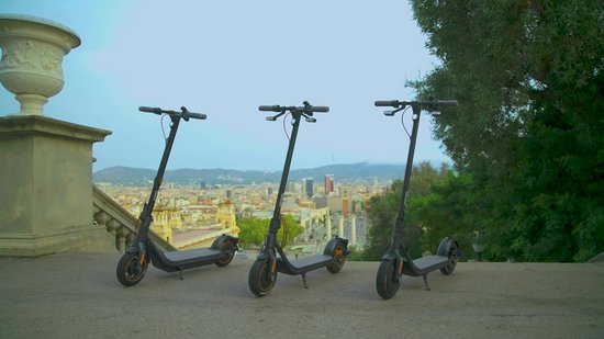 Ninebot kickscooter F25E II Powered by Segway - E-step - Actieradius ...