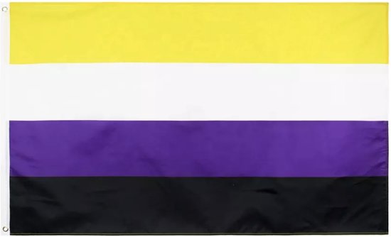 Drapeau non binaire - LGBTQIA+ - Drapeau LGBTQ - Drapeau arc-en-ciel ...