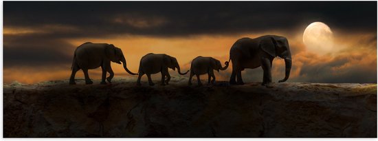 WallClassics - Poster (Mat) - Olifanten op een Rots - 90x30 cm Foto op ...