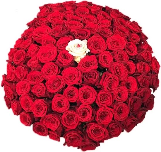 Rozen 50stuks Echte rozen Valentijn | bol