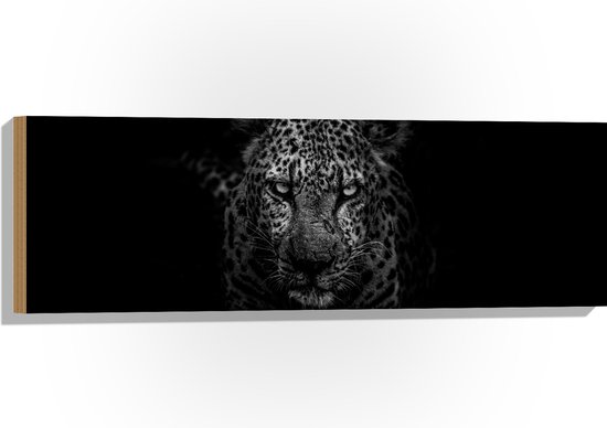 Hout Sluipende Panter Zwartwit 90x30 Cm 9 Mm Dik Foto Op Hout Met Bol