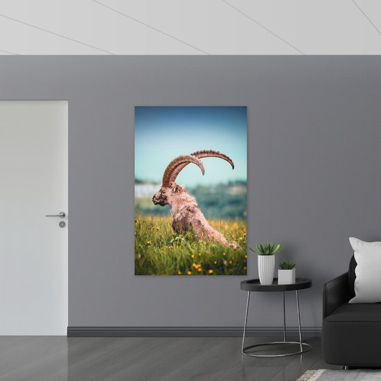 Vlag - Zijaanzicht van Bok met Grote Horens tussen Geel Bloemenveld ...