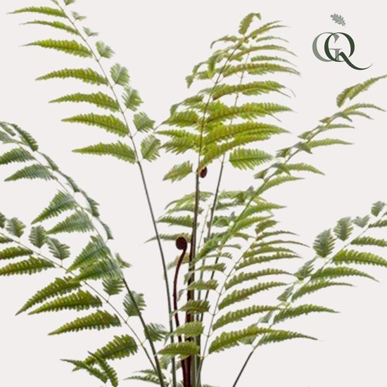 Kunstplant - Rumohra Adiantiformis - Ledervaren - 150 cm | bol